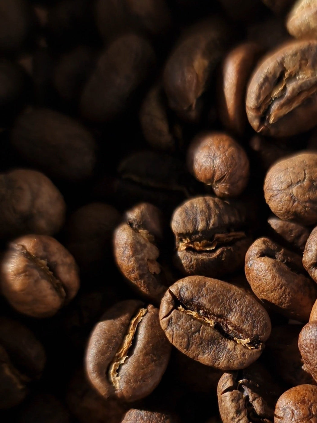 Nuestra Historia – Oromo Coffee Roasters